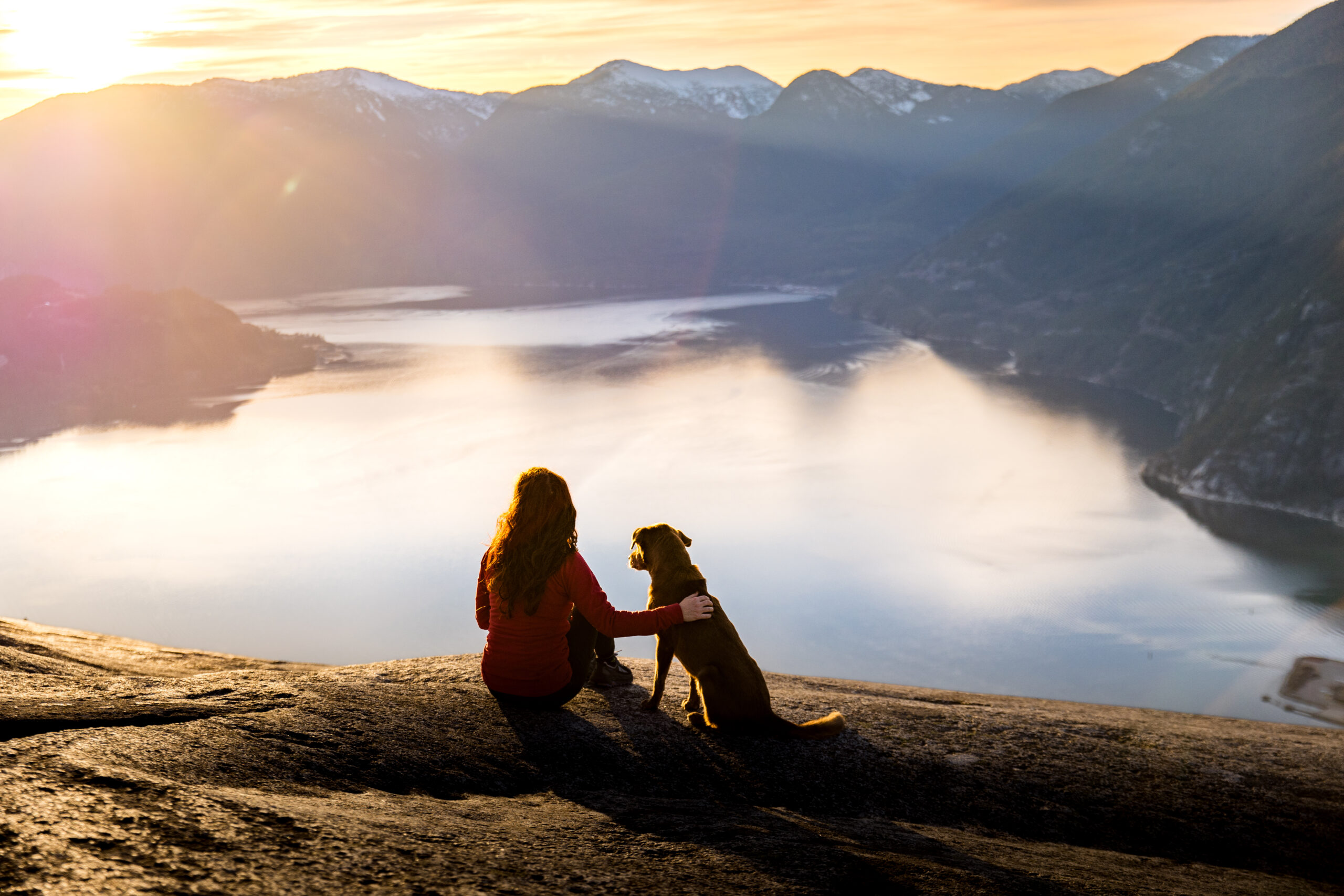 ORIJEN Original Cat | 100% Grain-Free - ORIJEN